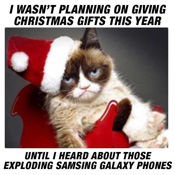 Christmas Bunny Memes